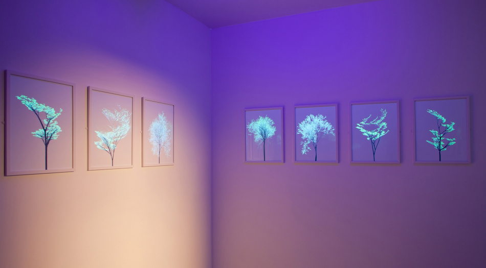 Electric Trees ⁄ Universal Everything