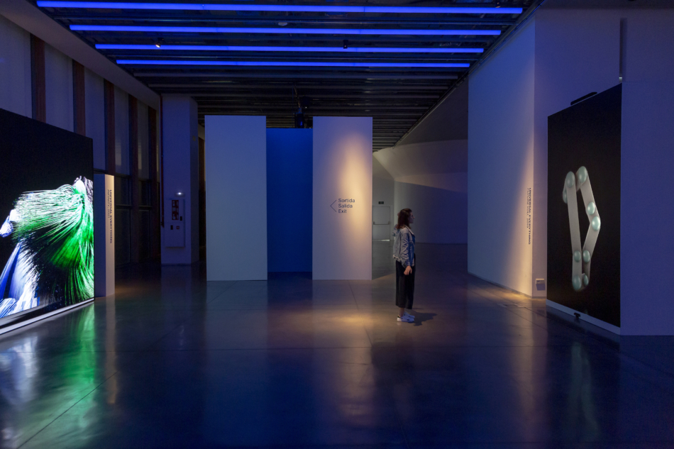 Universal Everything ⁄ Digital Impact