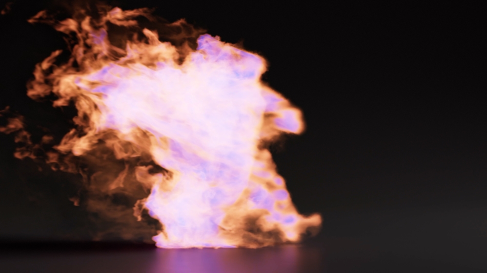 Transfiguration (2024) ⁄ Universal Everything